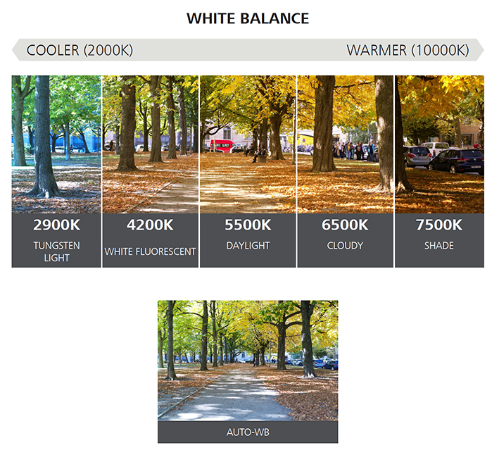 999, Basic // White Balance