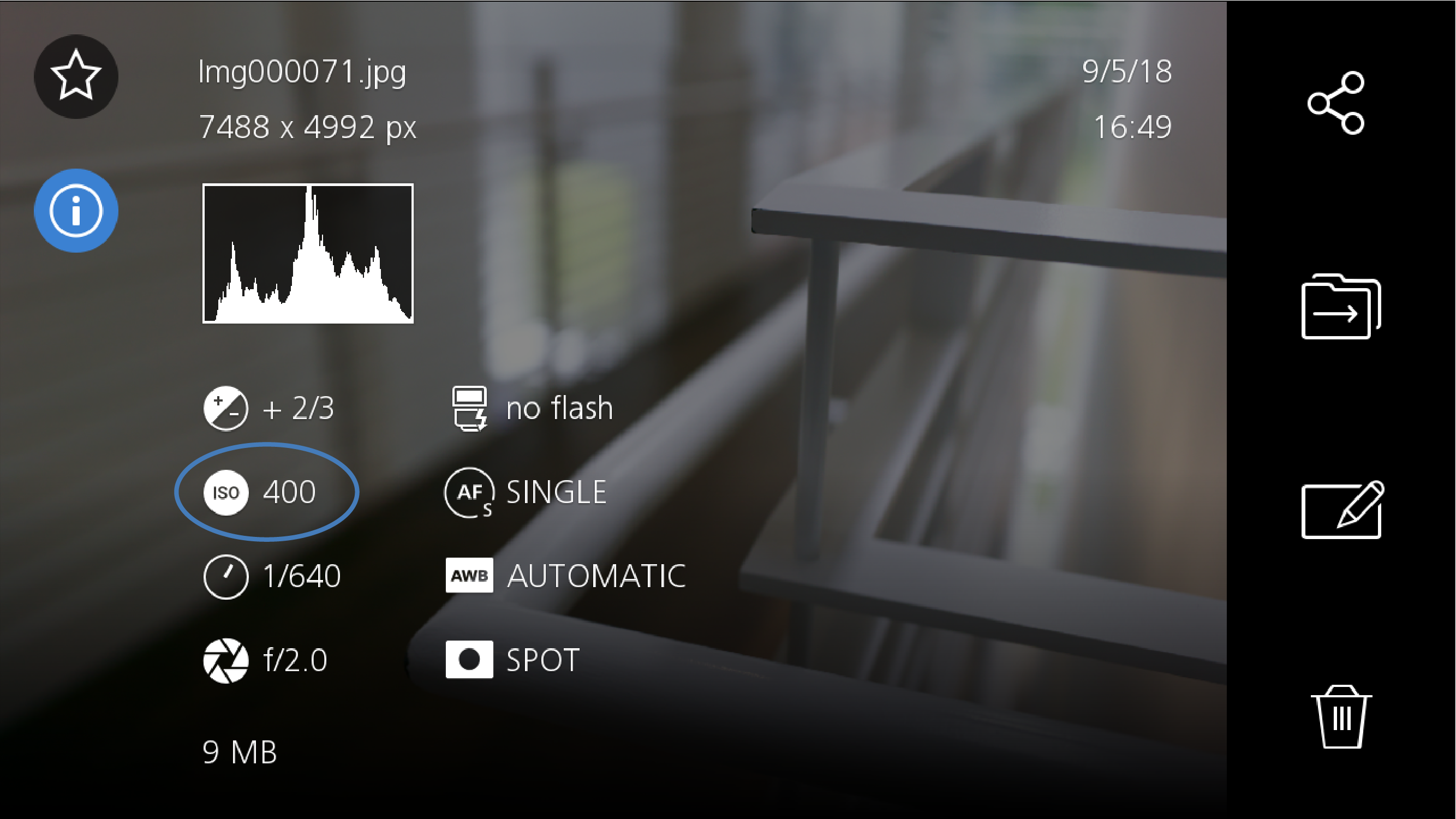 Sometimes I see ISO speed, shutter speed or aperture values on the back ...