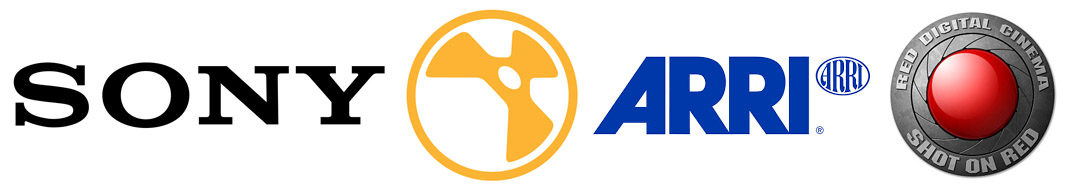 Which software converters can be utilized to export the RAW material in ...